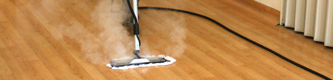 Jetsteam Evo Innovative Smart Steam Cleaner